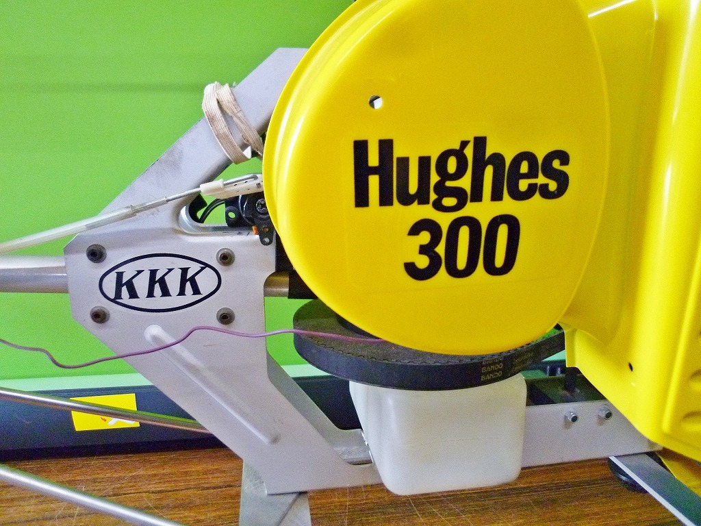 Hughes 300